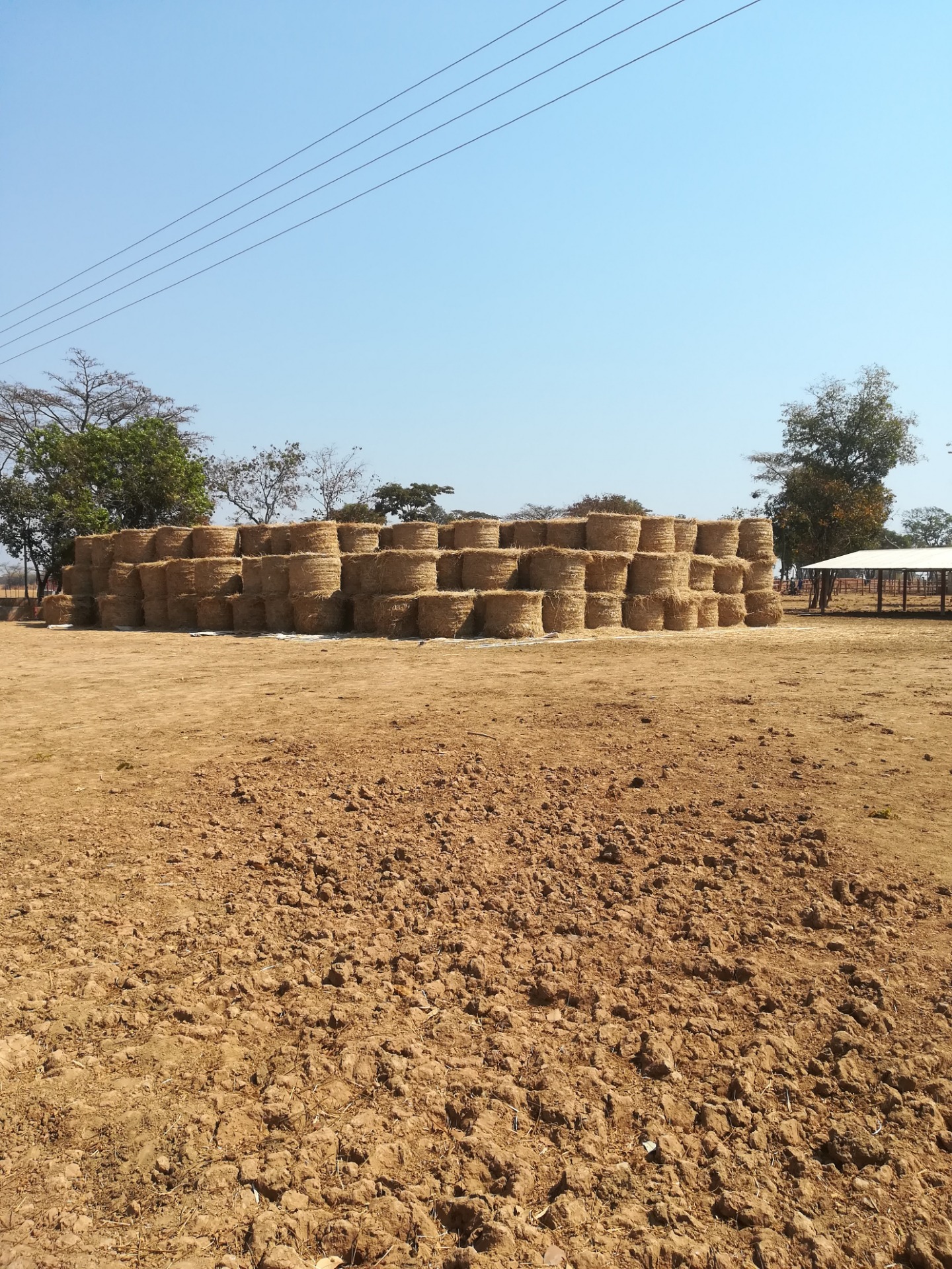 Praktik i Zambia :: Zambia-dk