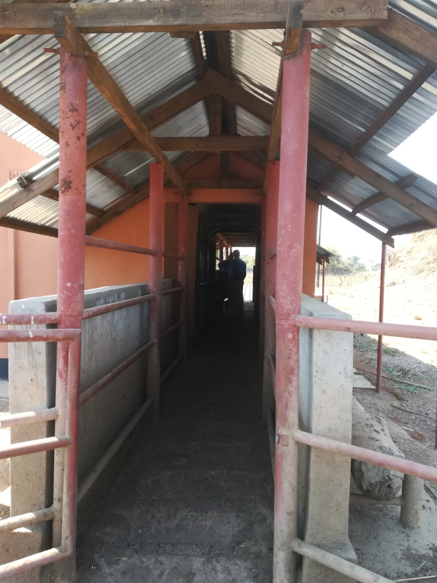 Praktik i Zambia :: Zambia-dk