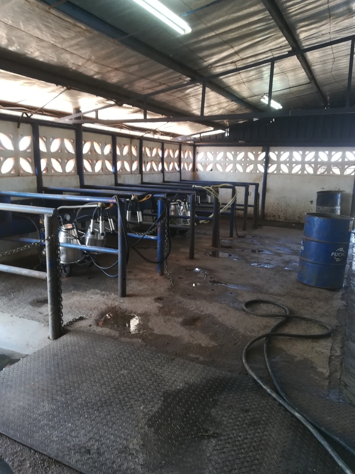 Praktik i Zambia :: Zambia-dk