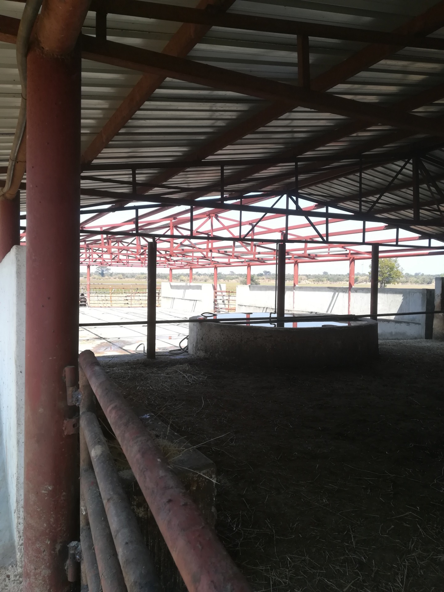 Praktik i Zambia :: Zambia-dk