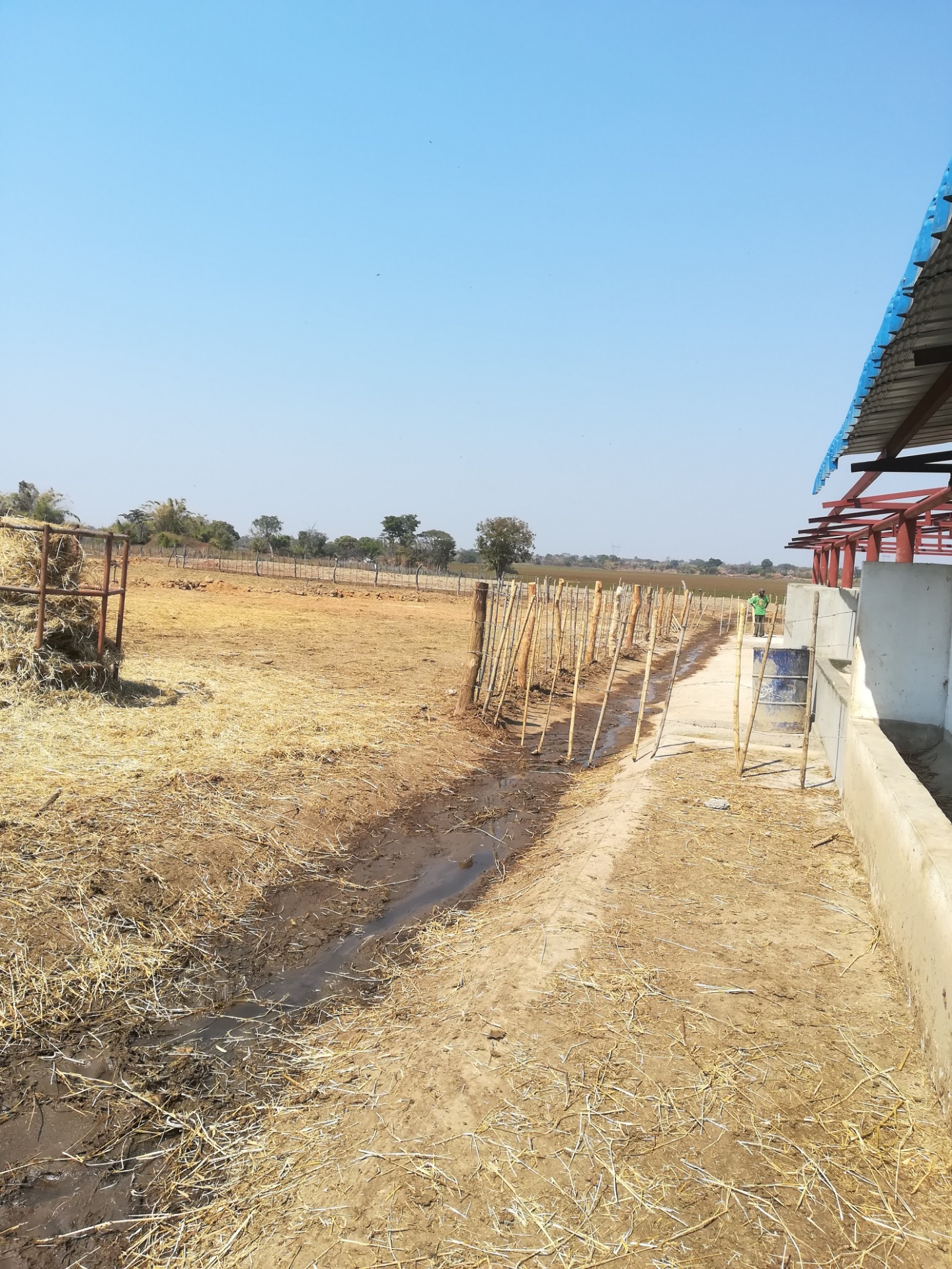 Praktik i Zambia :: Zambia-dk