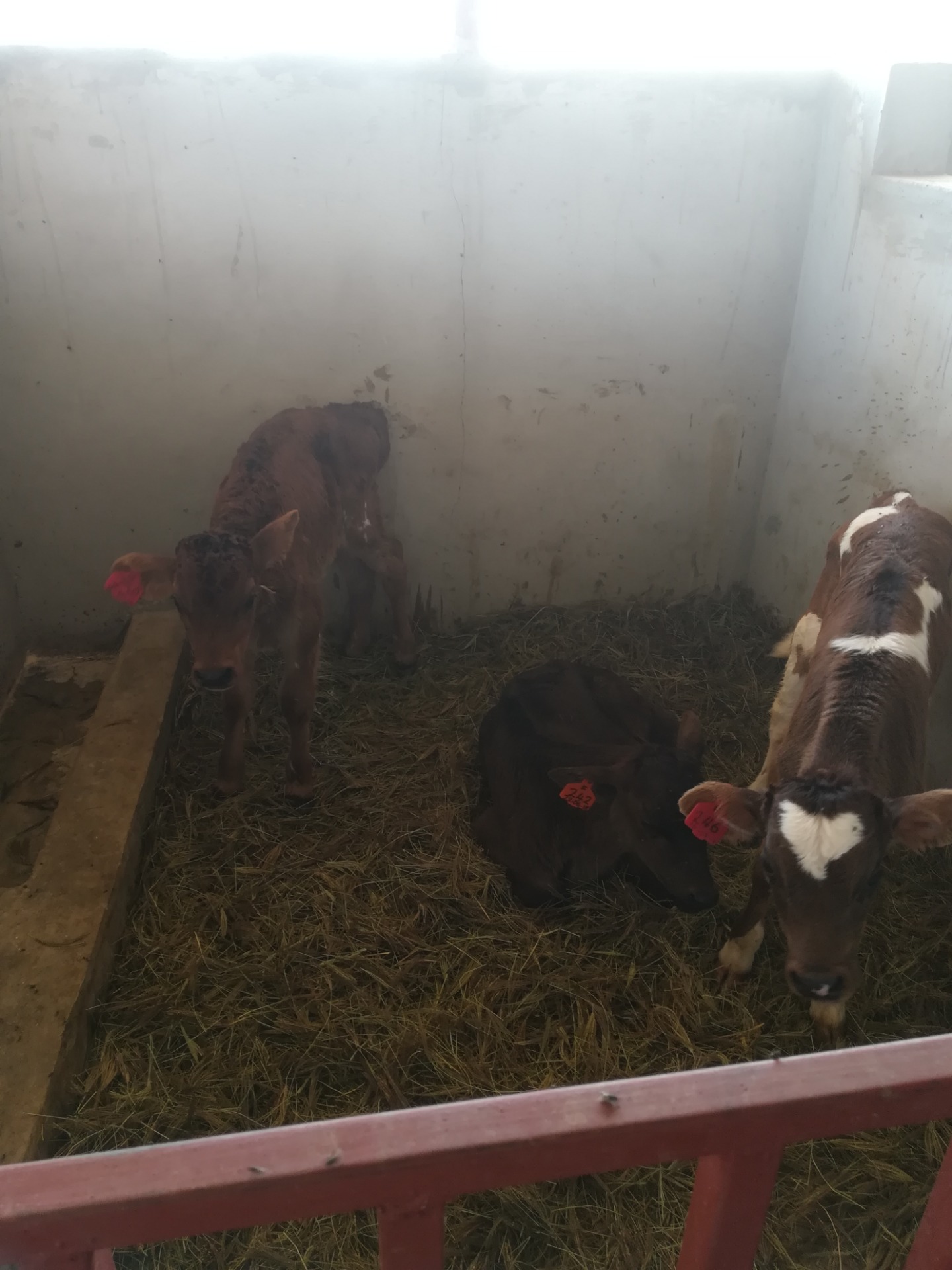 Praktik i Zambia :: Zambia-dk